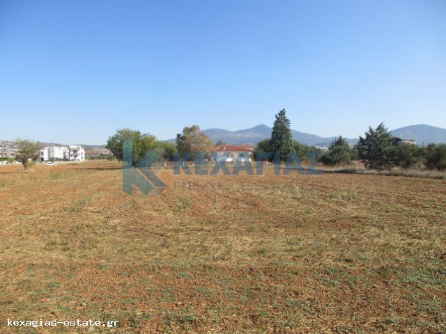 Kexagias Estate :: ΘΕΡΜΗ (ΟΙΚΟΠΕΔΑ ΑΓΡΟΤΕΜΑΧΙΑ)